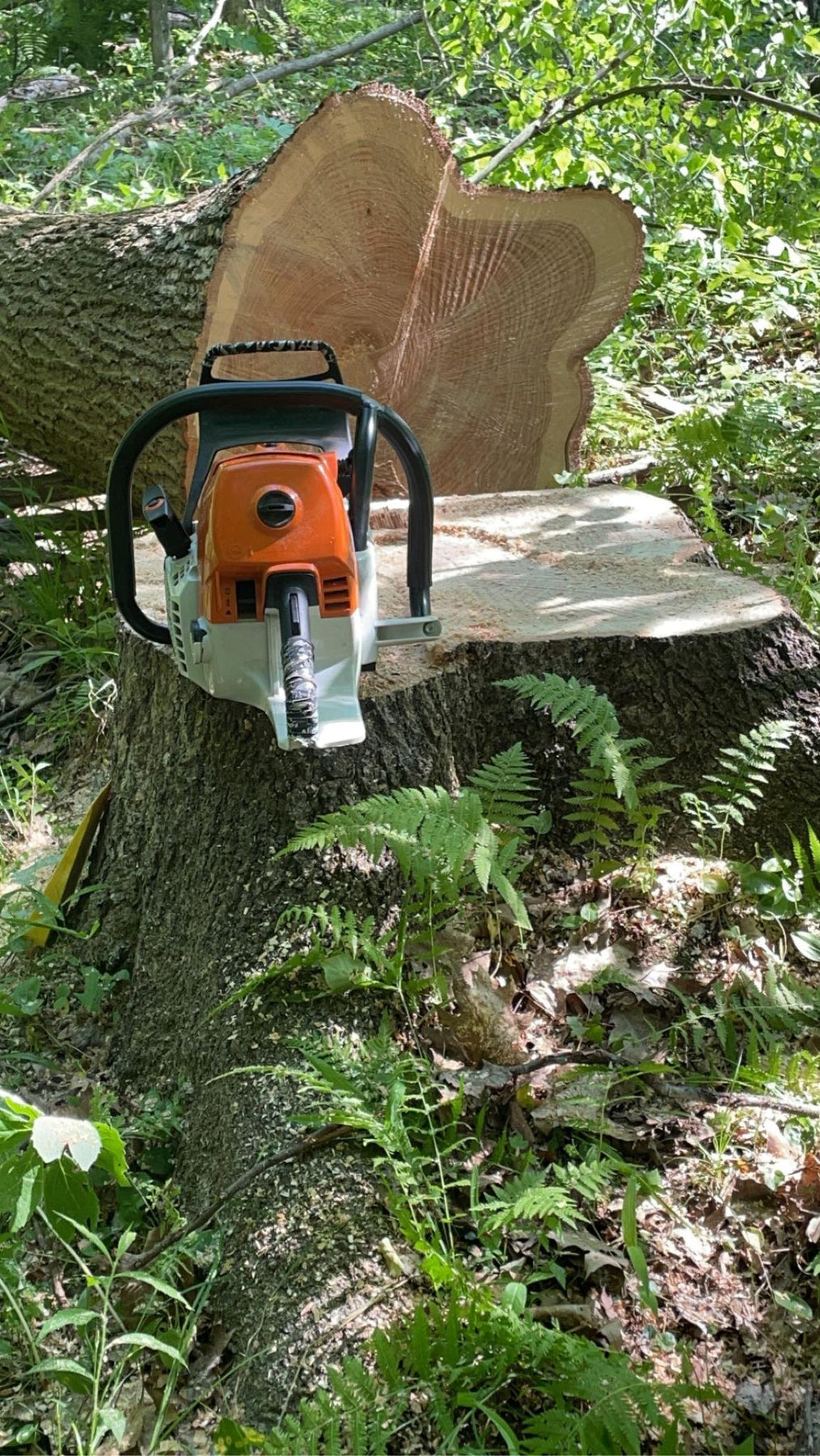 THE DUKE'S WEST COAST FULL WRAP HANDLE BAR FITS STIHL MS661 - Saw Salvage