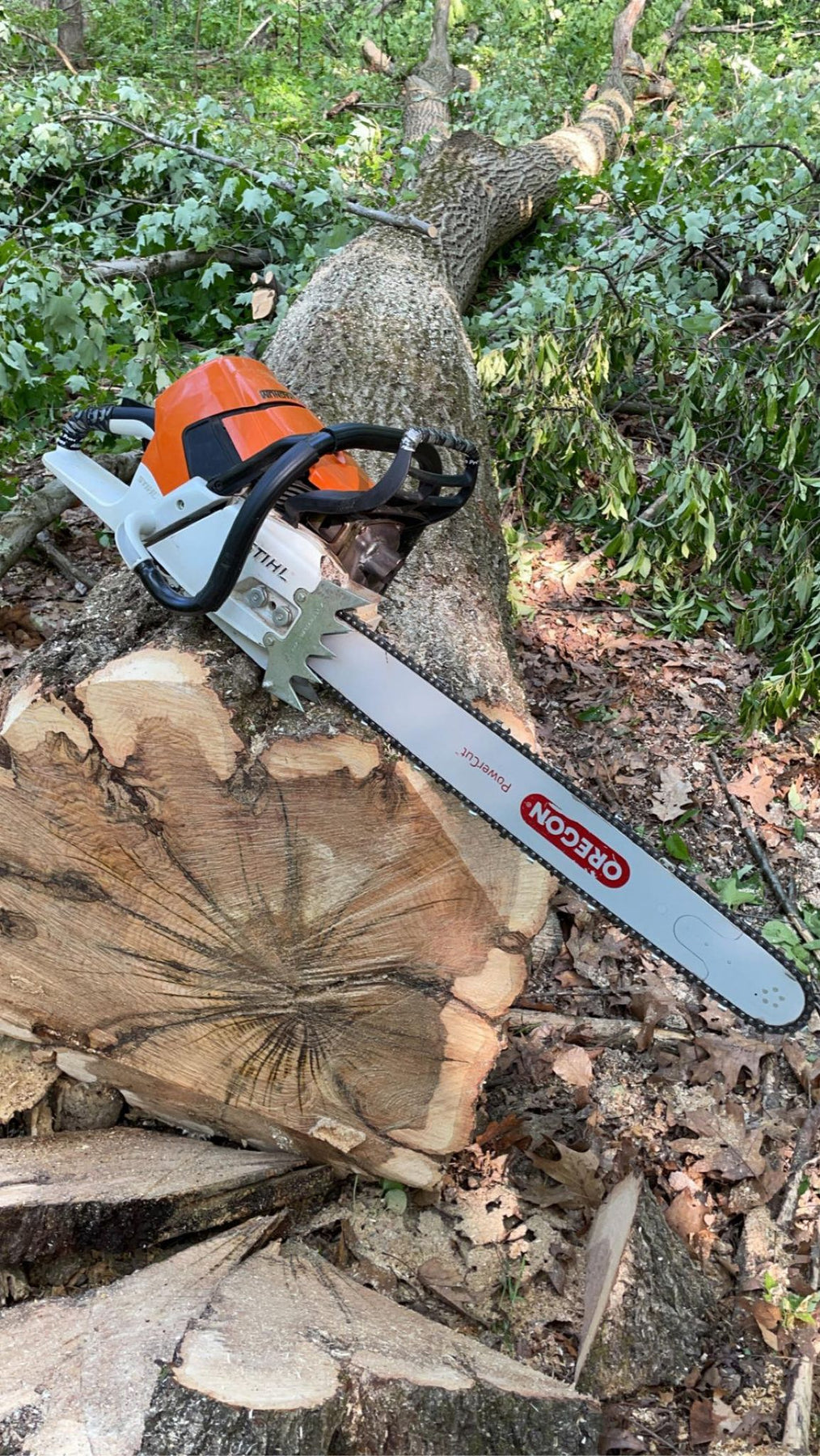 THE DUKE'S WEST COAST FULL WRAP HANDLE BAR FITS STIHL MS661 - Saw Salvage