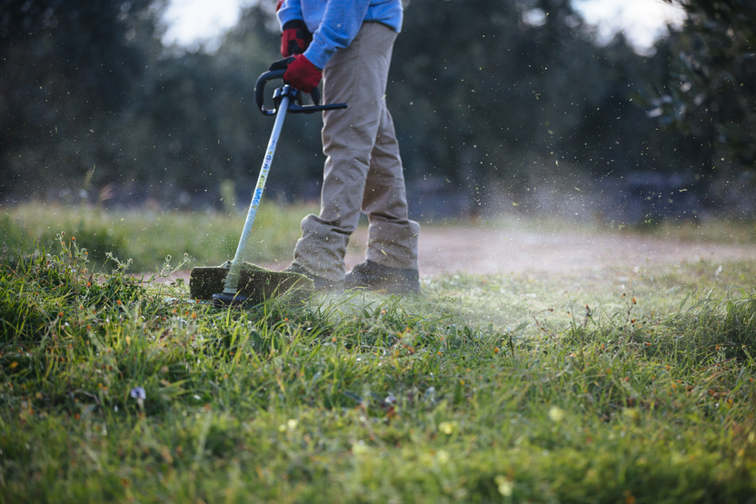 SHINDAIWA TRIMMERS AND BRUSHCUTTERS - Saw Salvage