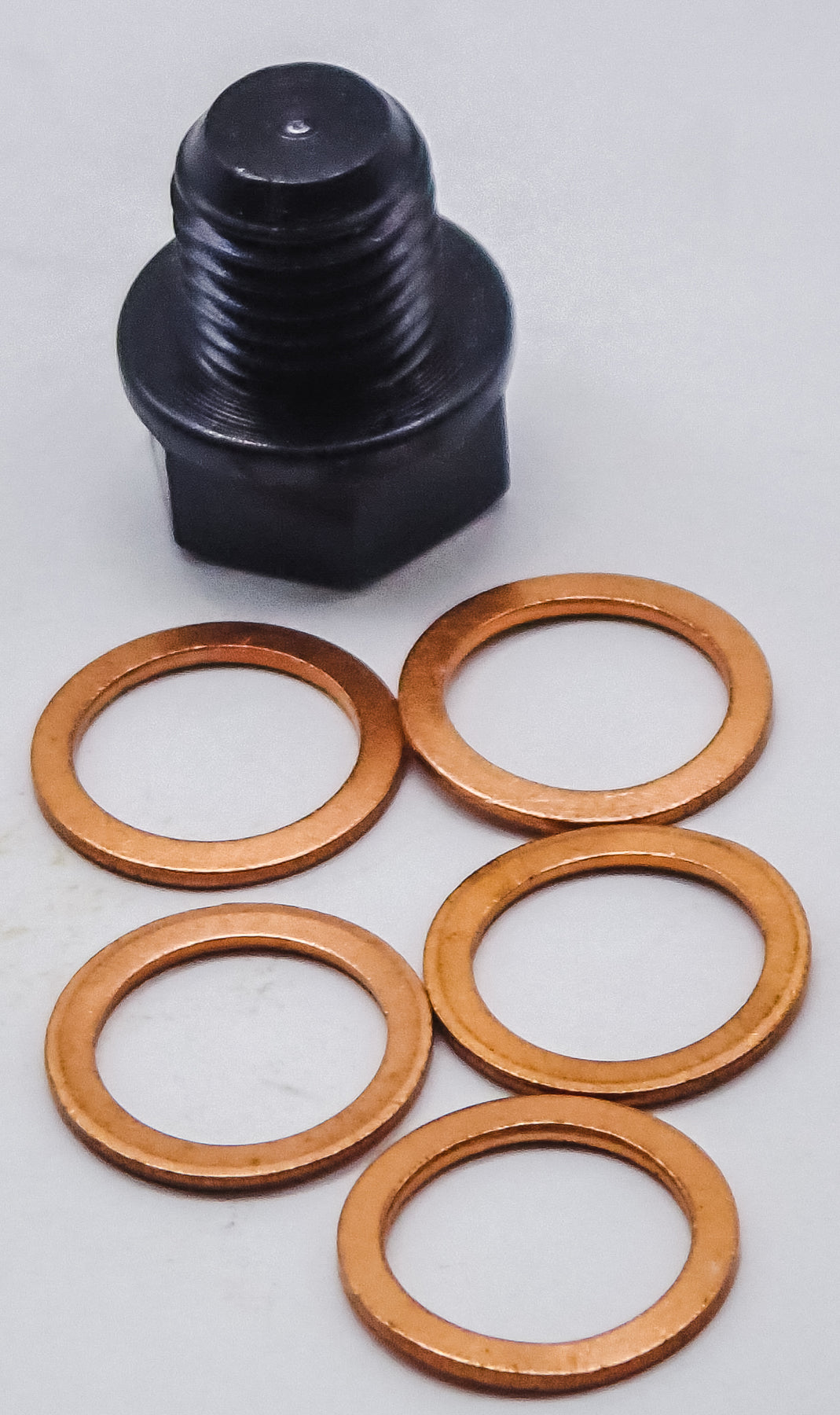 GENUINE ECHO DECOMPRESSION VALVE PLUG WITH EXTRA WASHER 91155 - Saw Salvage